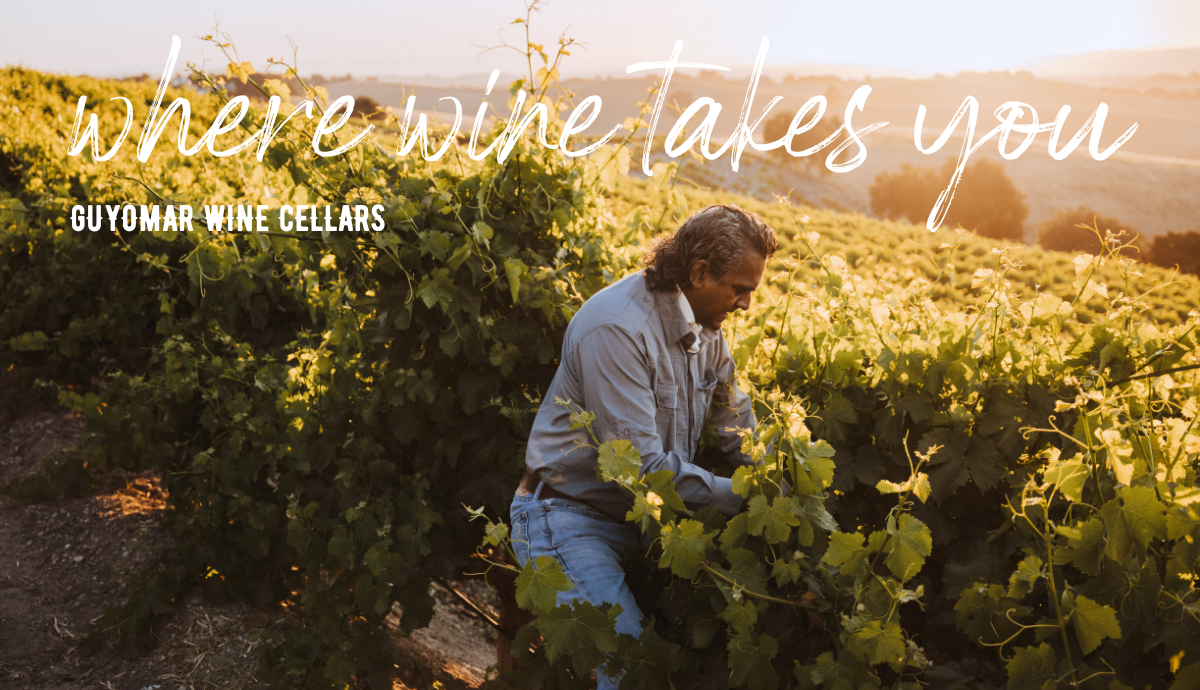 Where Wine Takes You: Guyomar Wine Cellars Video - Paso Robles Wine Country Alliance