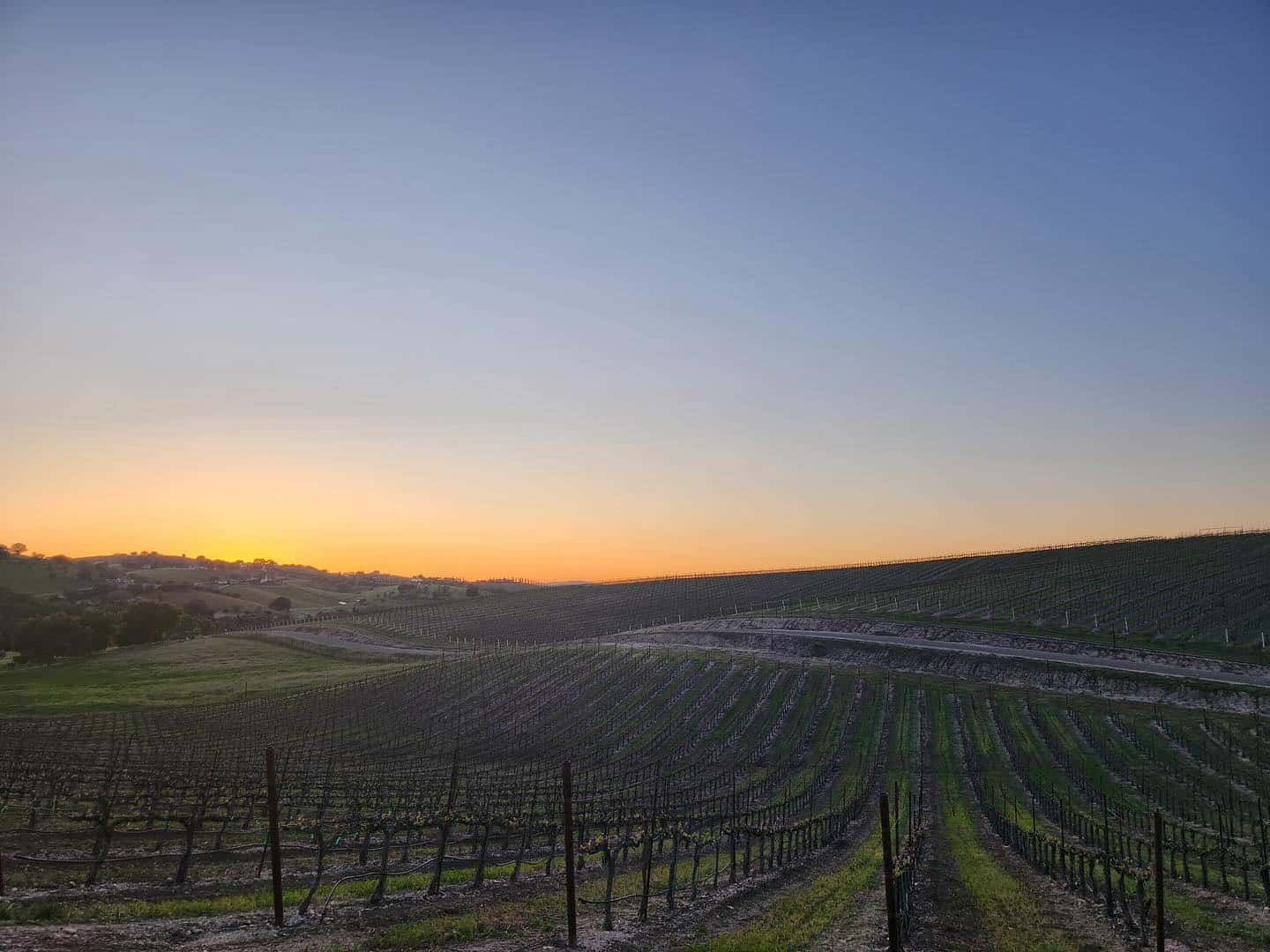 Spring Photo Gallery - Paso Robles Wine Country Alliance